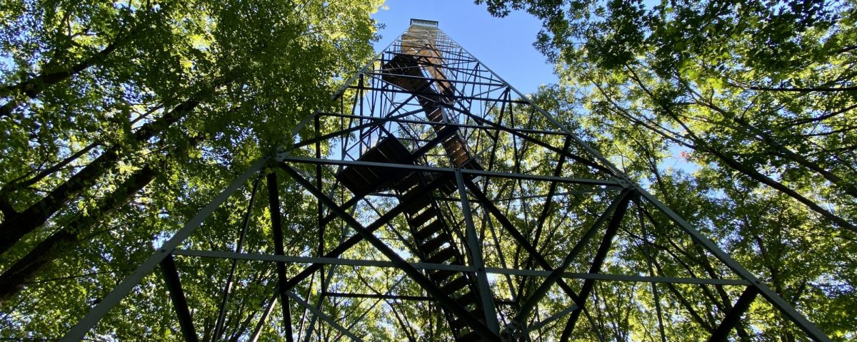 Race Details – Fire Tower Trail Races